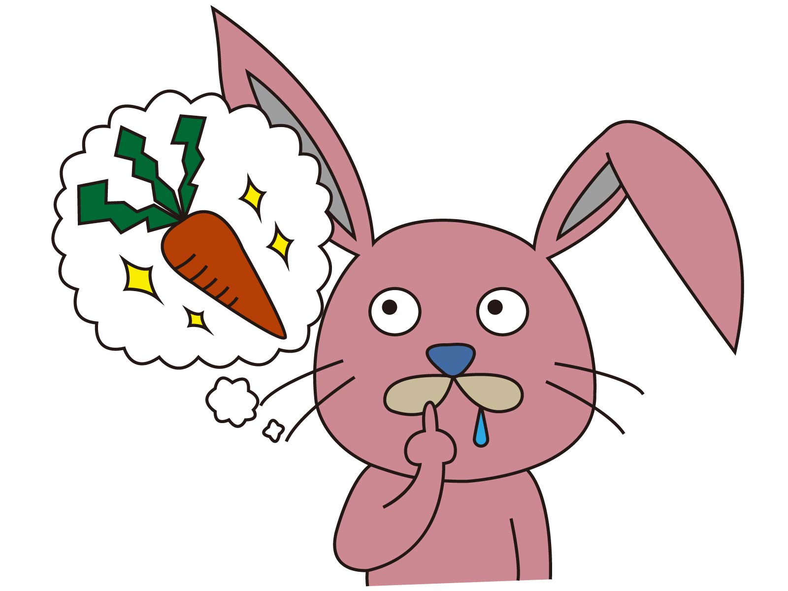 vegan options to survive in Tokyo, vegan lunch, vegan snack